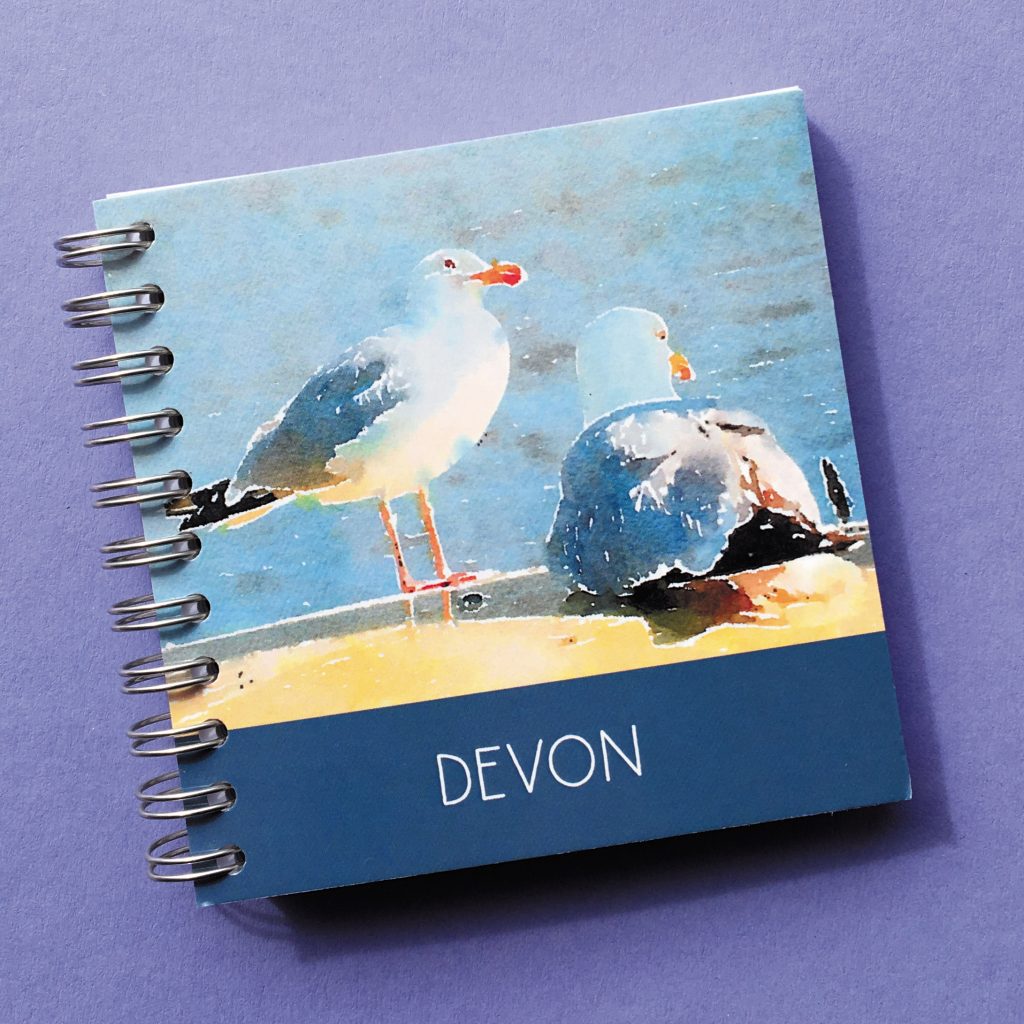 Devon gulls mini notebook - Holy Mackerel