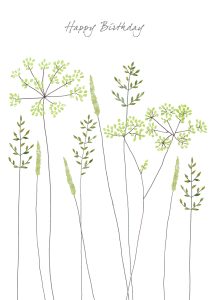 Fennel Birthday Greeting Card - Holy Mackerel