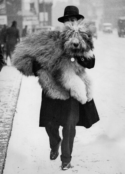 Man carrying dog blank card - Holy Mackerel