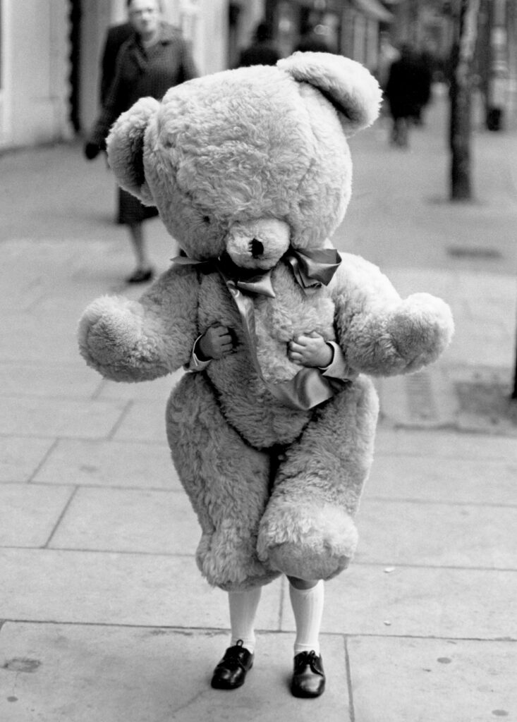 Giant teddy blank card - Holy Mackerel